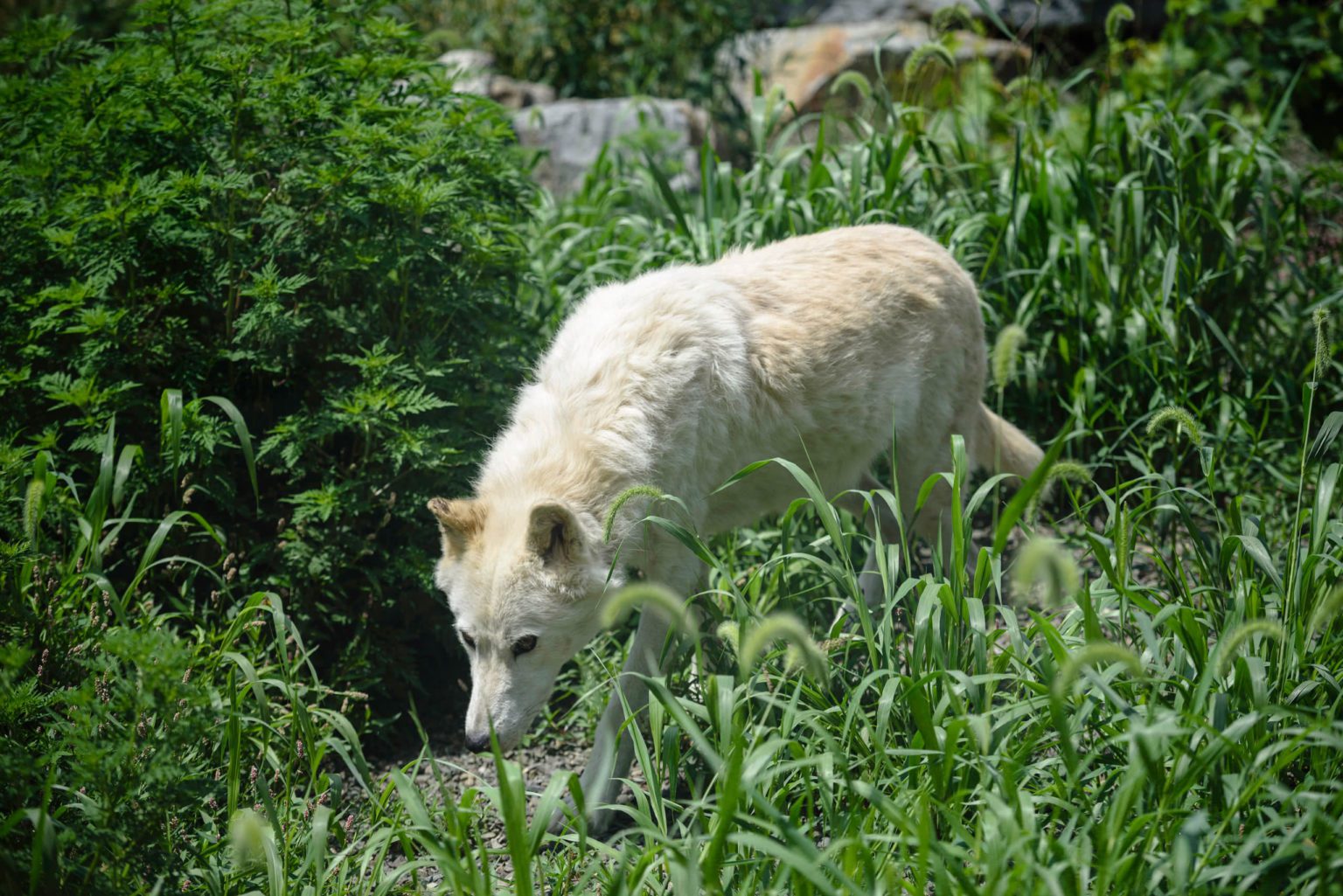 Visit Binghamton | Be Part of Our Story