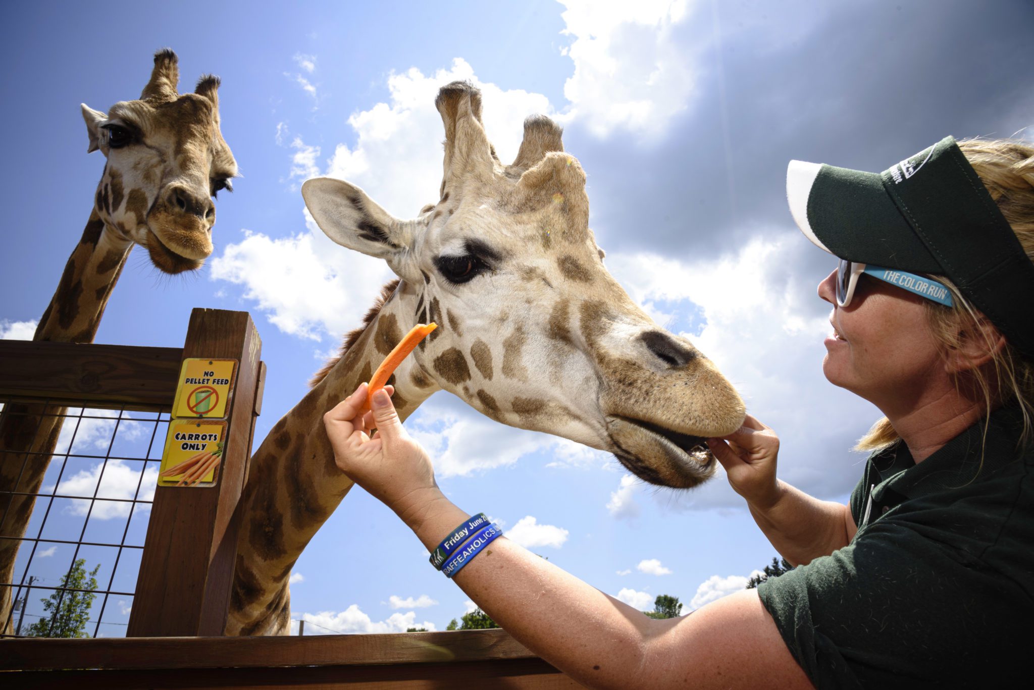 Animal Adventure Park | Visit Binghamton