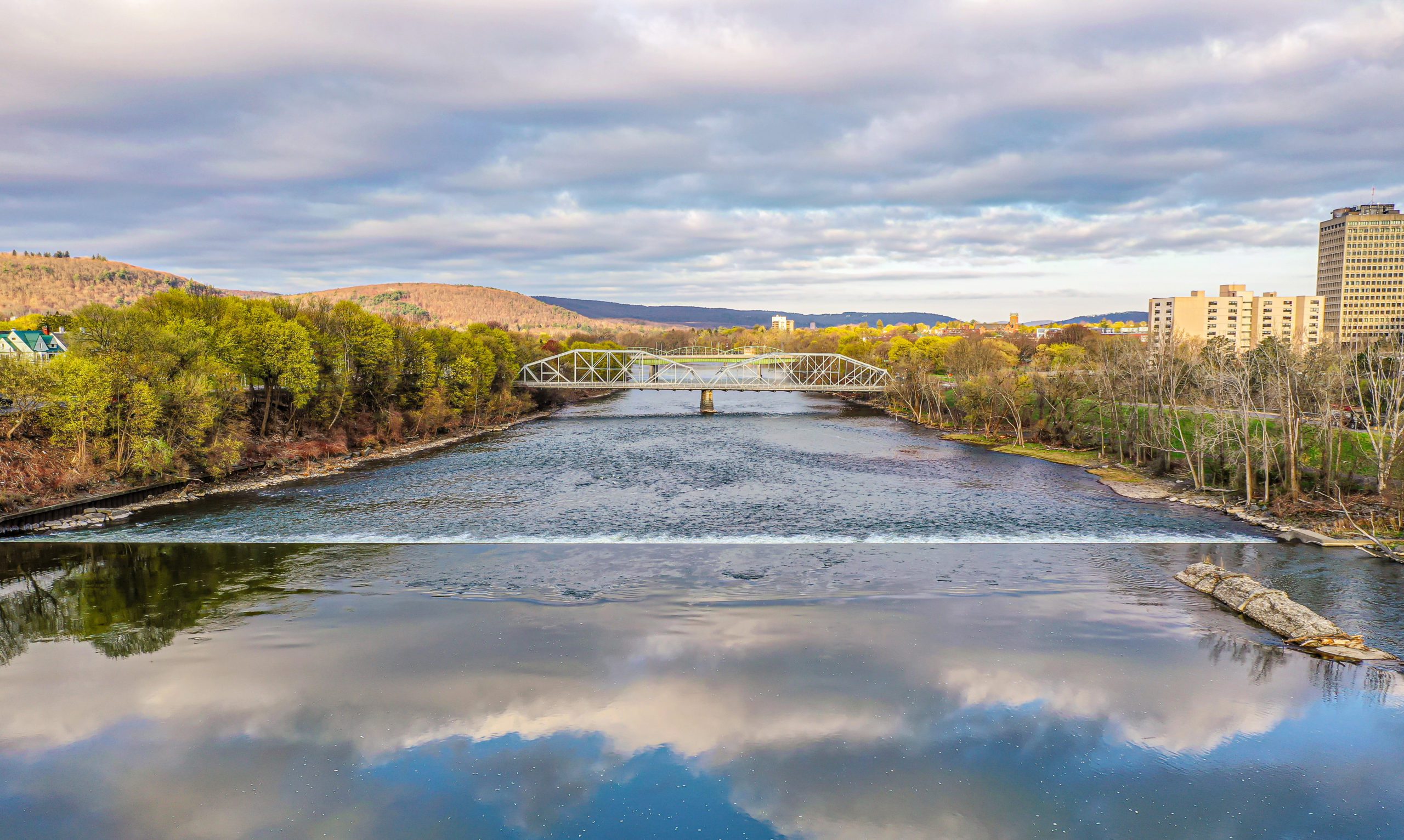 Our Team | Visit Binghamton