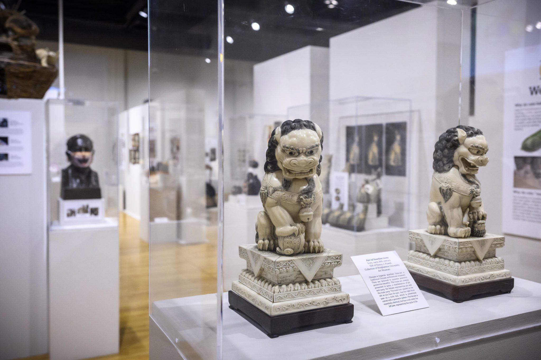 Roberson Museum and Science Center | Visit Binghamton