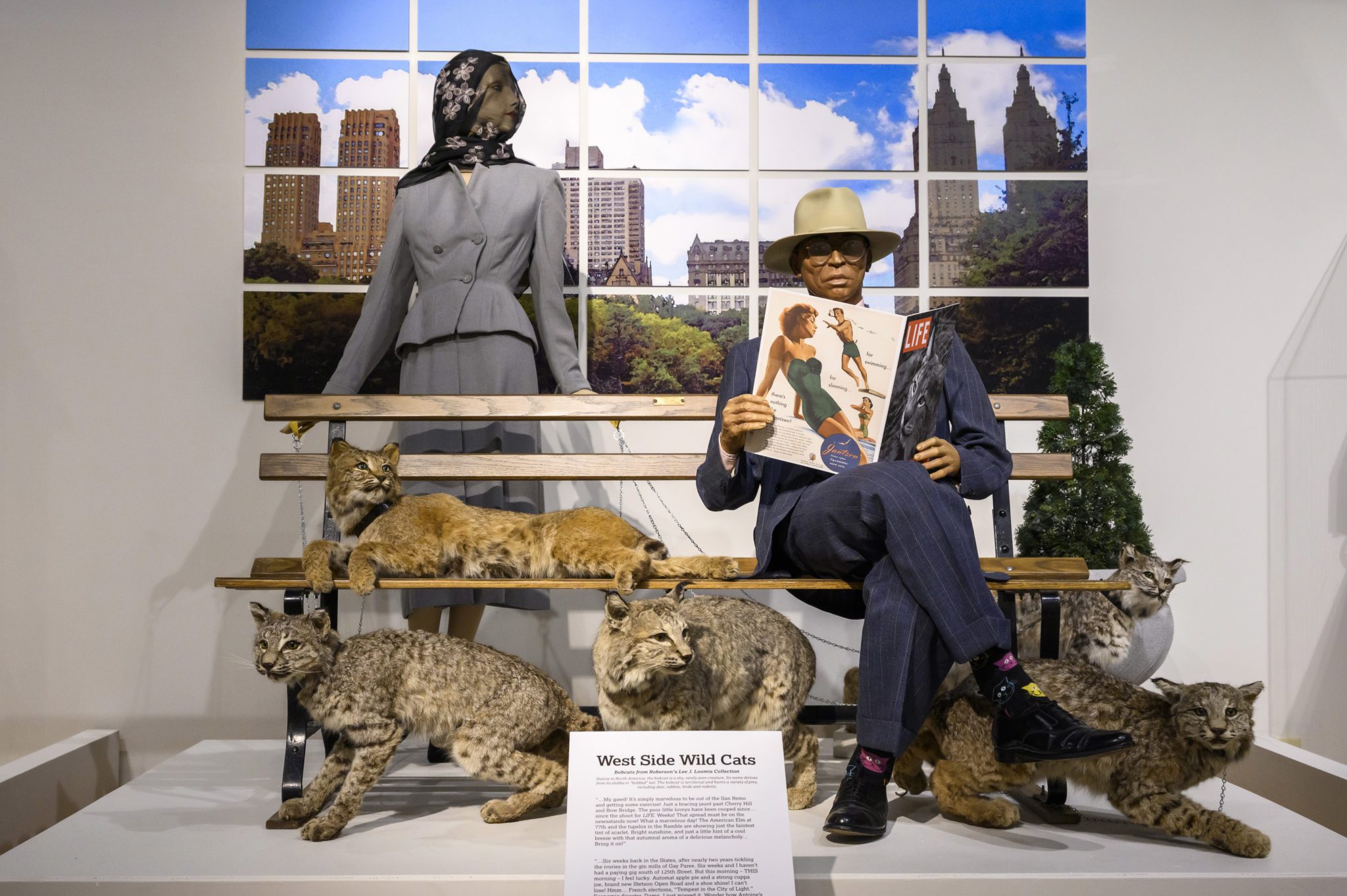 Roberson Museum and Science Center | Visit Binghamton