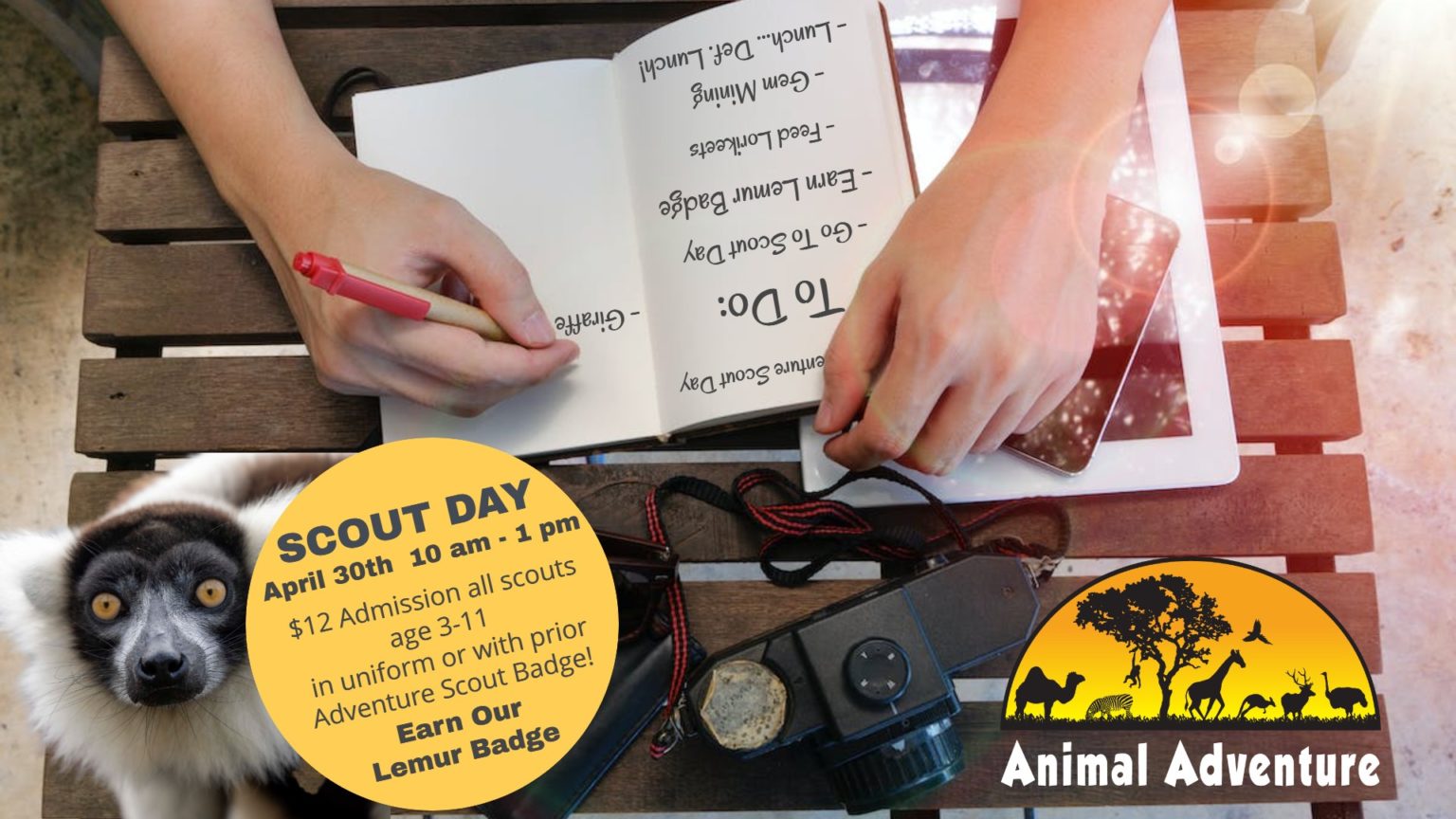 Scout Day - Lemur Badge at Animal Adventure Park | Visit Binghamton